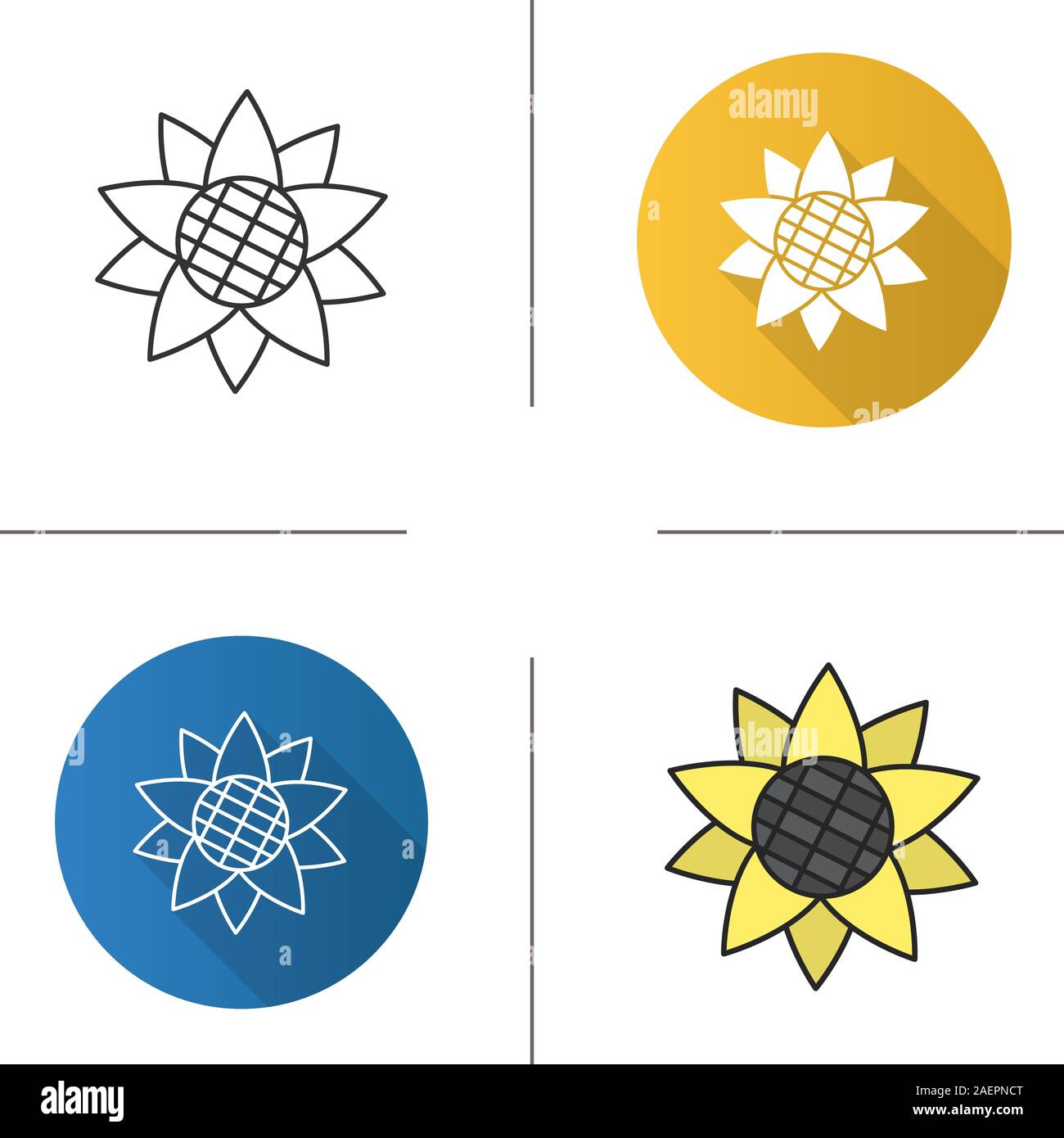 Sunflower head icon. Flat design, linear and color styles. Helianthus ...