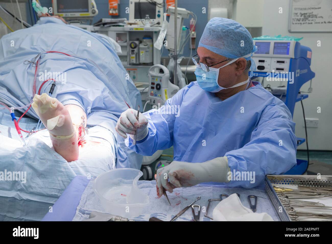 A surgeon studies a lower leg during an operation to repair ligament ...