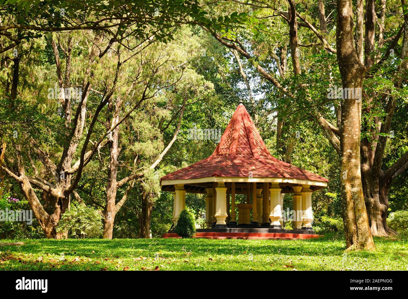 Lightweight architecture hi-res stock photography and images - Alamy