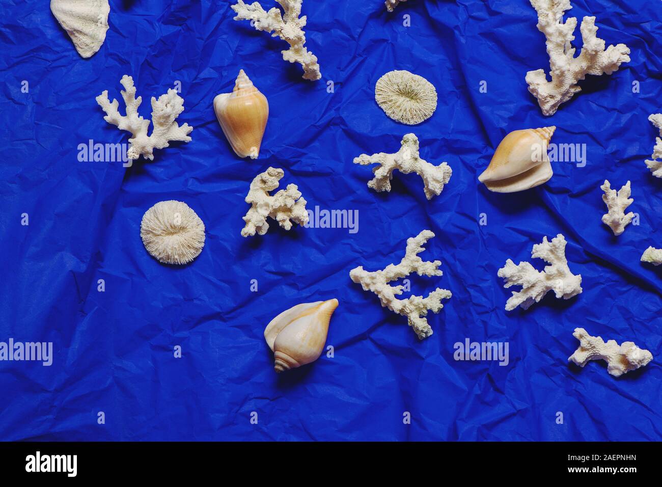 Coral closeup view hi-res stock photography and images - Alamy