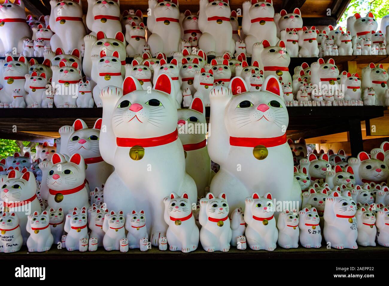 Beckoning cats of Japan Stock Photo - Alamy