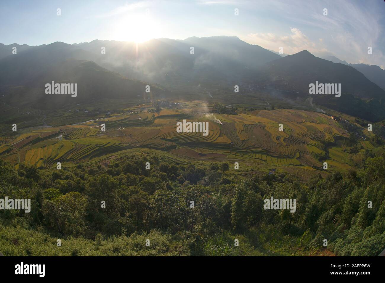 Sunset and green, brown, yellow and golden rice terrace fields of Tu Le ...