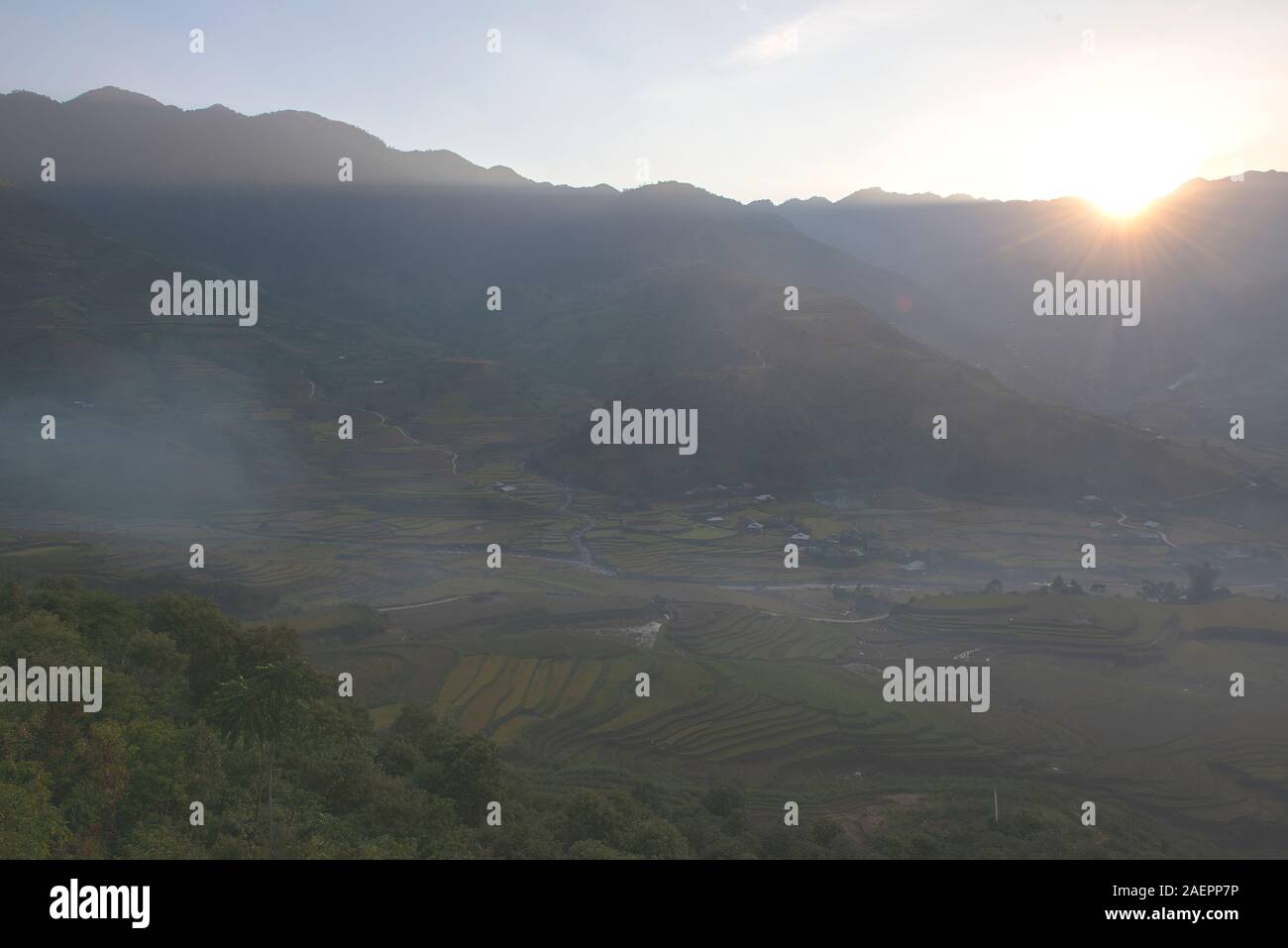 Sunset and green, brown, yellow and golden rice terrace fields of Tu Le ...
