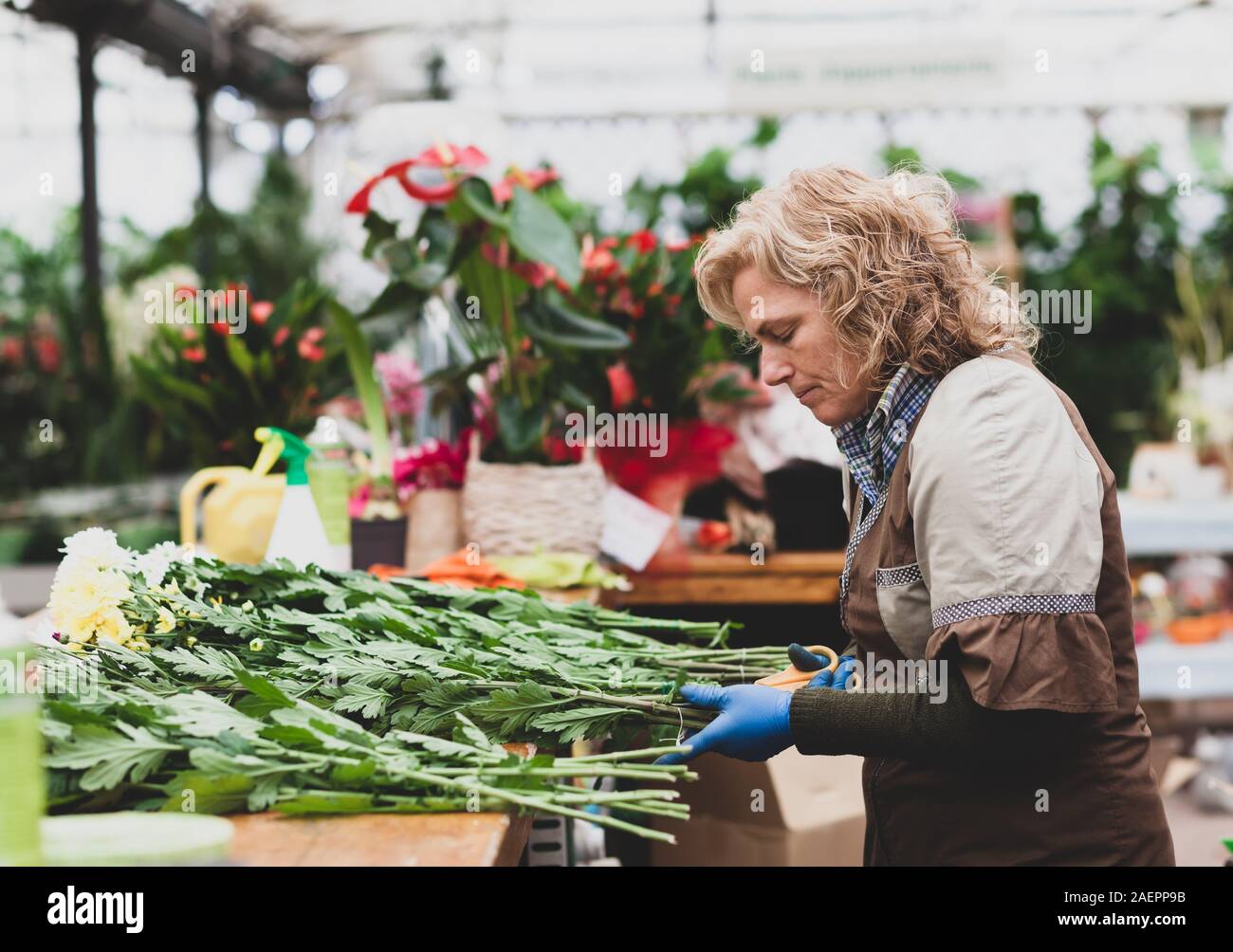Professional woman face detail hi-res stock photography and images - Alamy