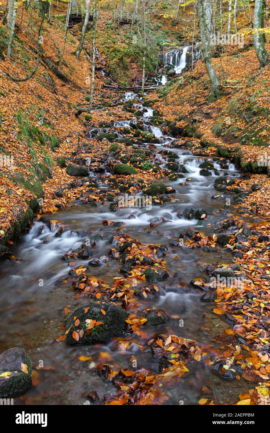 Waterfall in Yedigoller National Park, Bolu City, Turkey Stock Photo ...