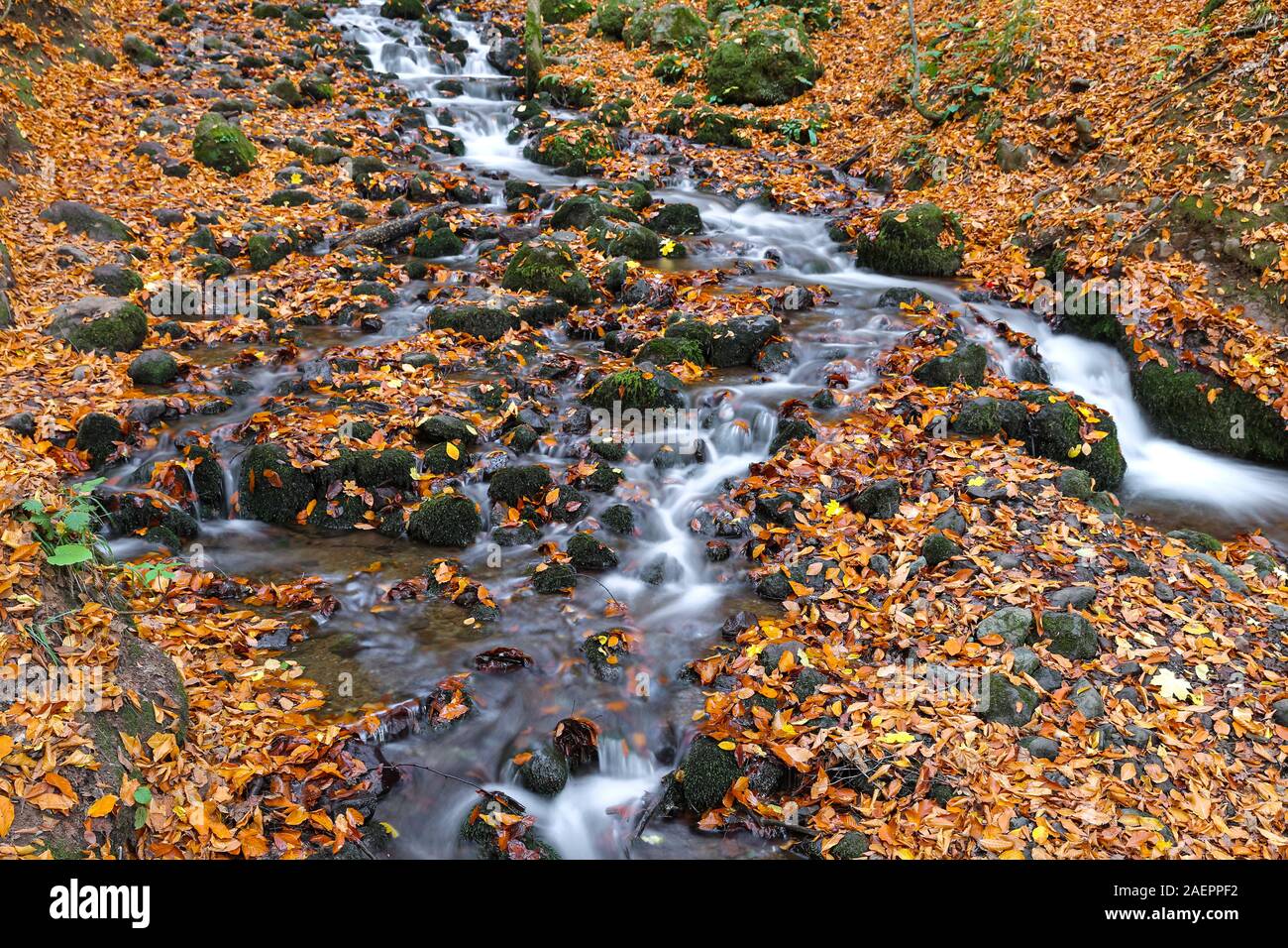 Waterfall in Yedigoller National Park, Bolu City, Turkey Stock Photo ...