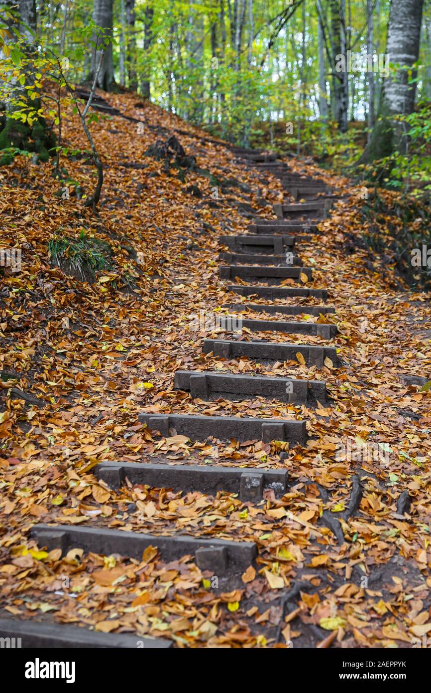 Path in Yedigoller National Park, Bolu City, Turkey Stock Photo - Alamy