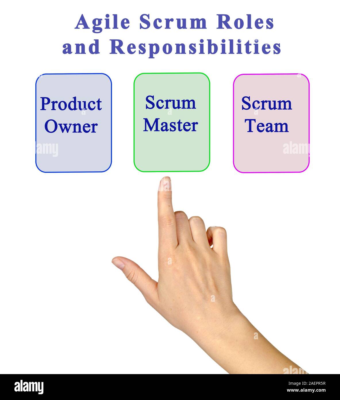 Scrum Roles