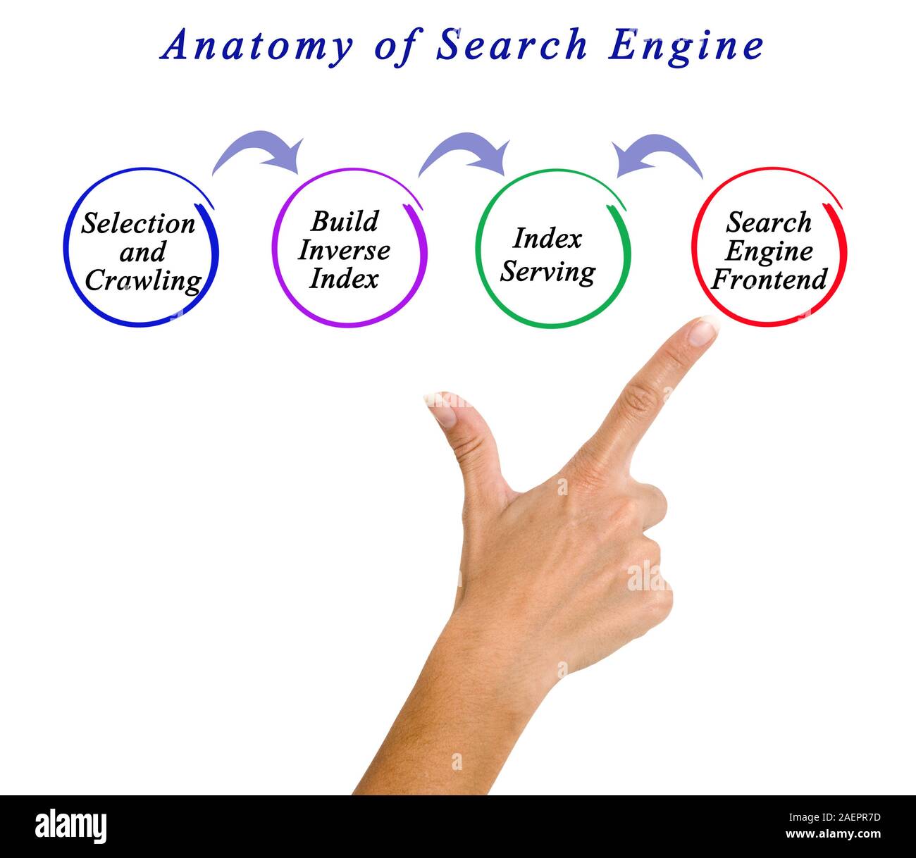 Anatomy of Search Engine Stock Photo - Alamy