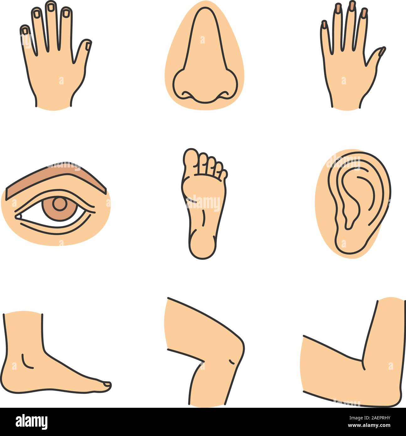 Human body parts color icons set. Male and female hands, nose, eye ...