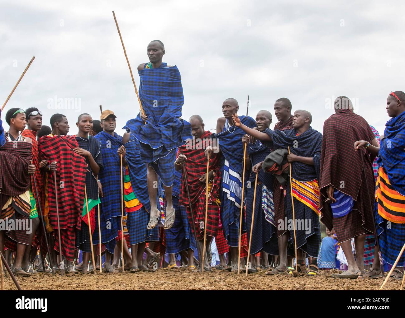 Same, Tanzania, 5th June, 2019: maasai warriors, jumping impressive ...