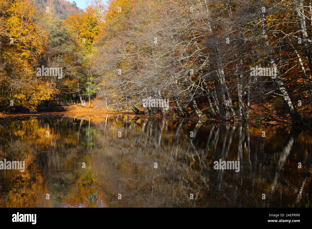 Derin Lake in Yedigoller National Park, Bolu City, Turkey Stock Photo ...