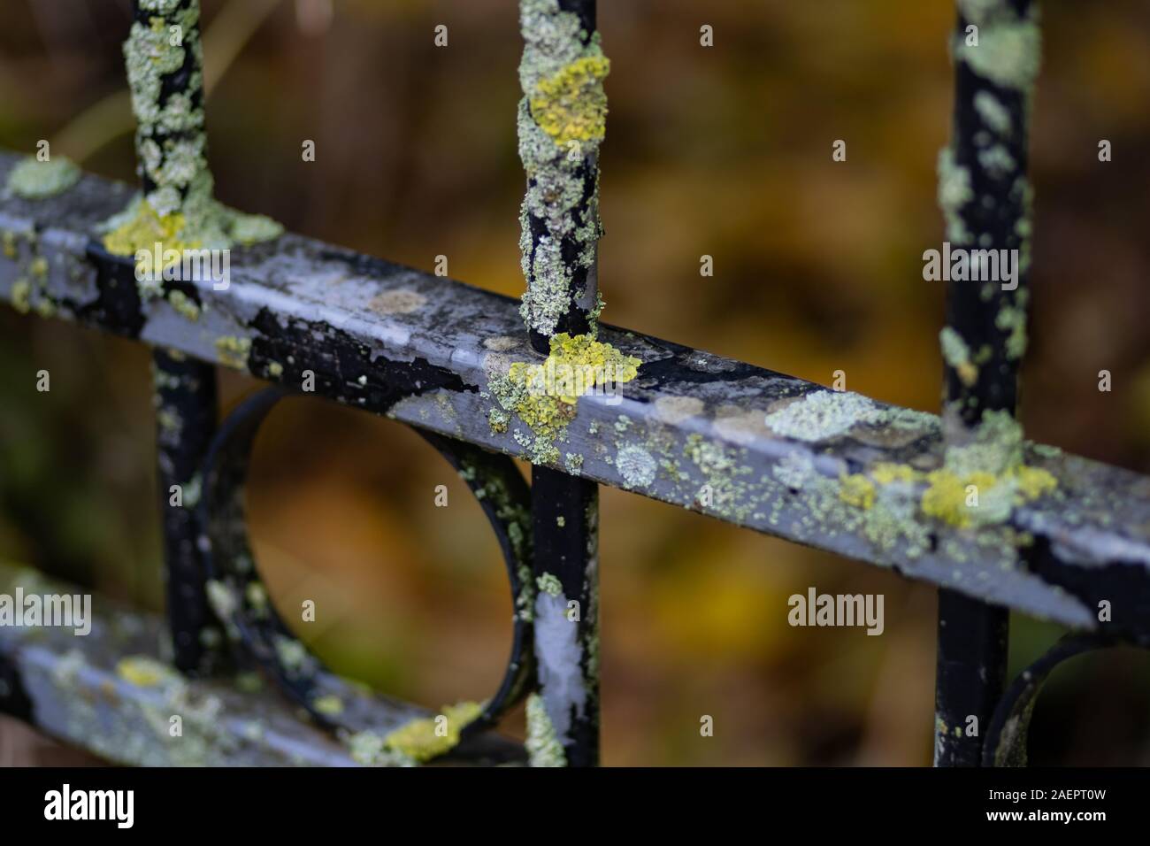 detail of an old rusty wrought iron gate Stock Photo - Alamy
