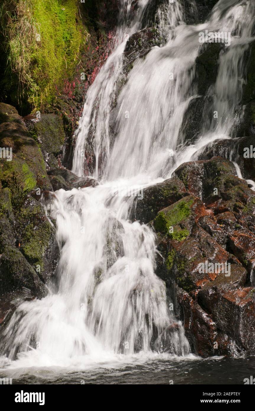 Massif des vosges hi-res stock photography and images - Alamy