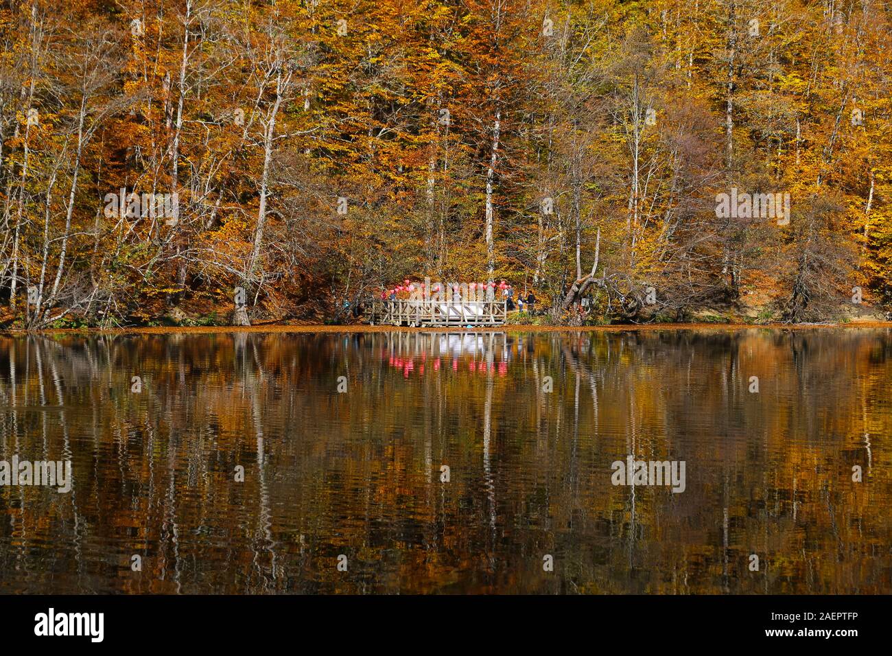 Buyuk Lake in Yedigoller National Park, Bolu City, Turkey Stock Photo ...