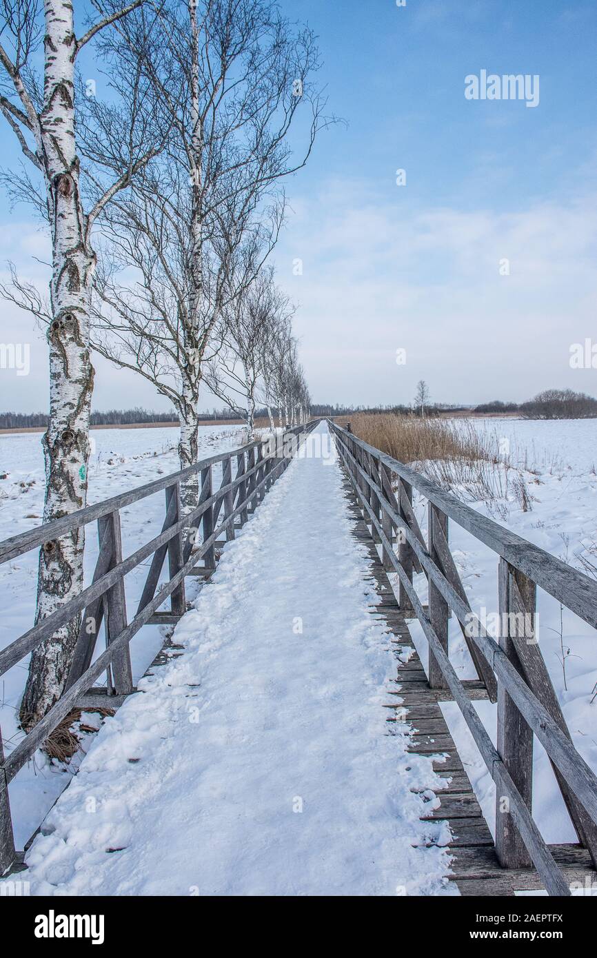 Bei bad buchau hi-res stock photography and images - Alamy