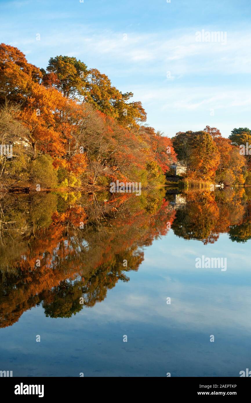 Picture Lake with beautiful fall foliage in Pocasset, Cape Cod ...