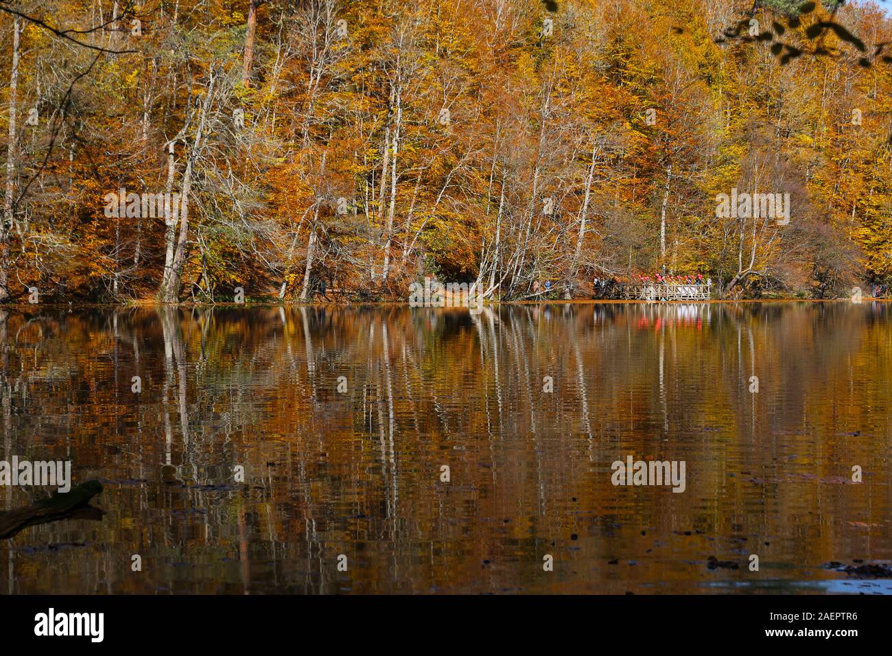 Buyuk Lake in Yedigoller National Park, Bolu City, Turkey Stock Photo ...