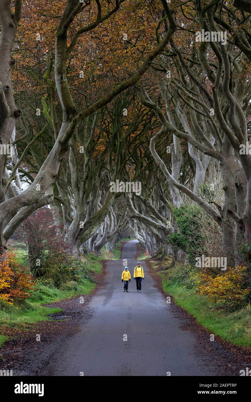 Game of thrones dark hedges hi-res stock photography and images - Alamy