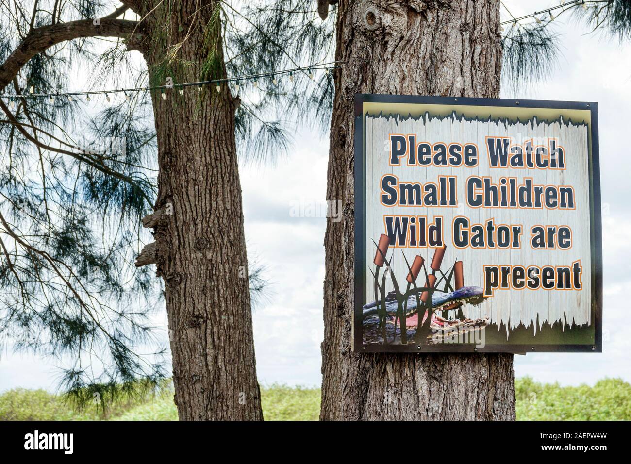 Melbourne Florida,St. Saint Johns River,Camp Holly Airboat Rides ...