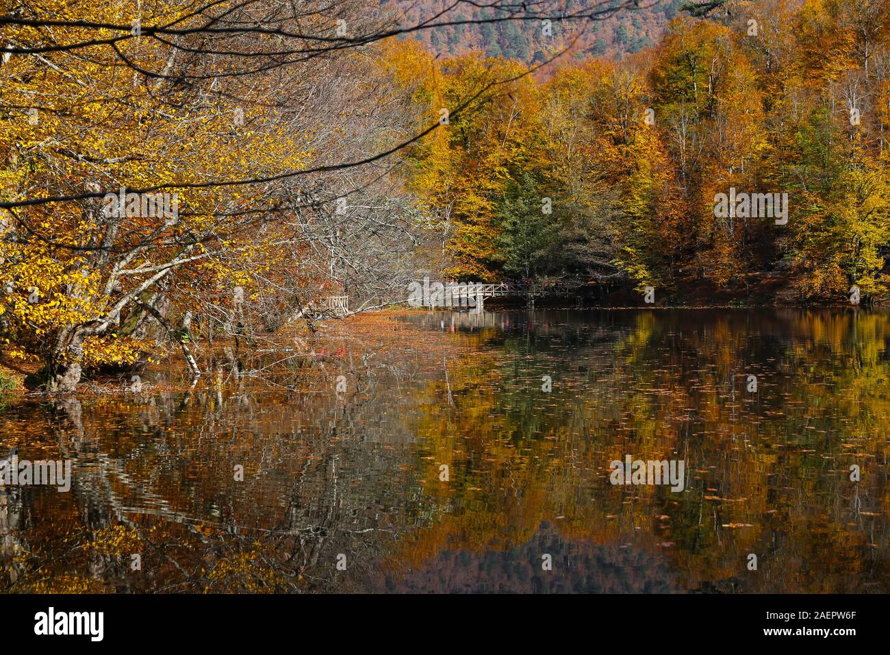 Buyuk Lake in Yedigoller National Park, Bolu City, Turkey Stock Photo ...