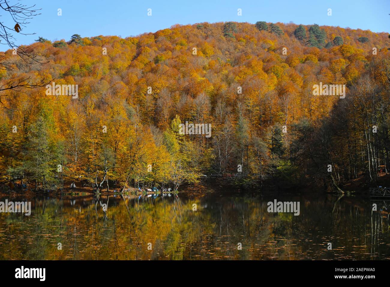 Buyuk Lake in Yedigoller National Park, Bolu City, Turkey Stock Photo ...