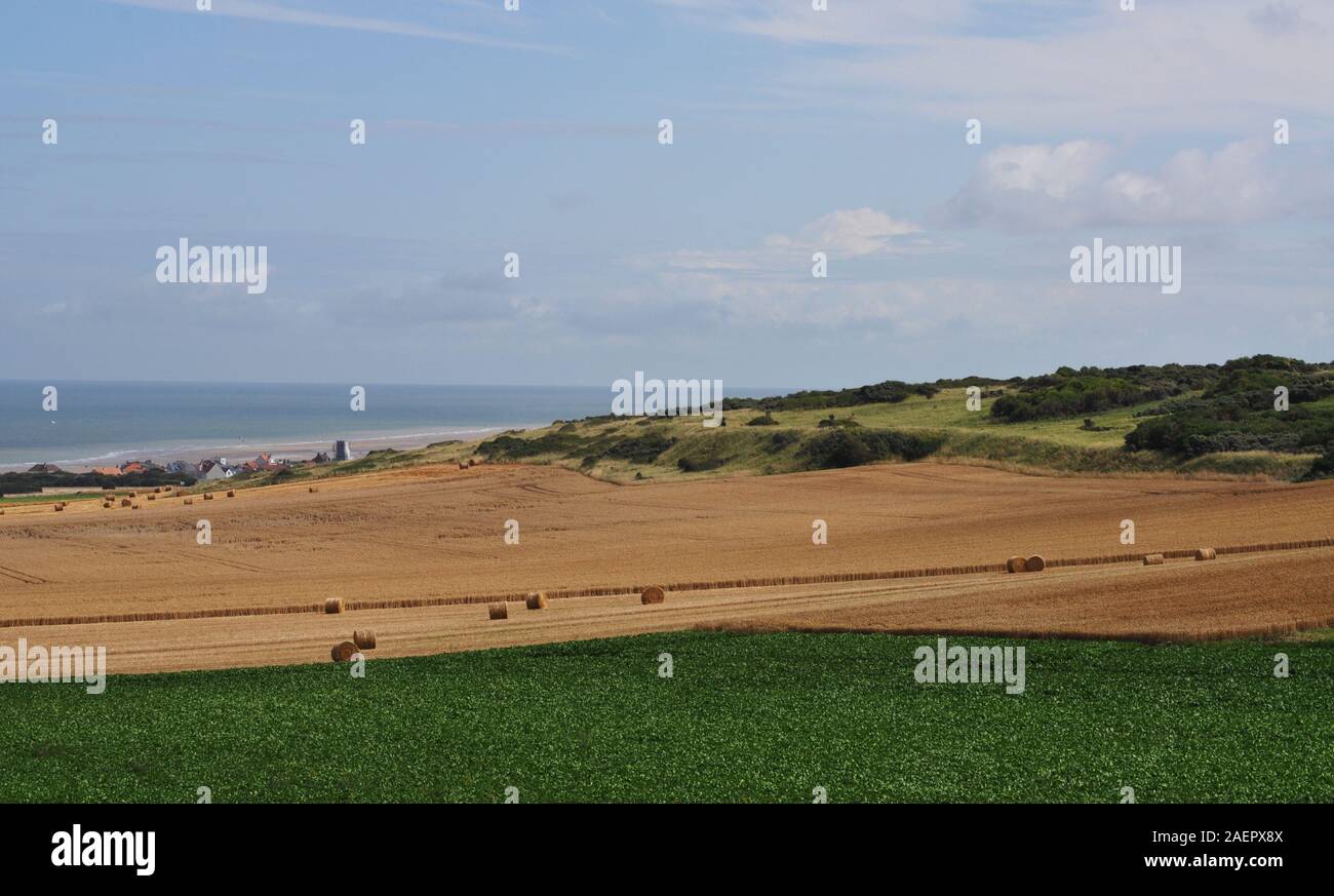 Crops on the coast Stock Photo - Alamy