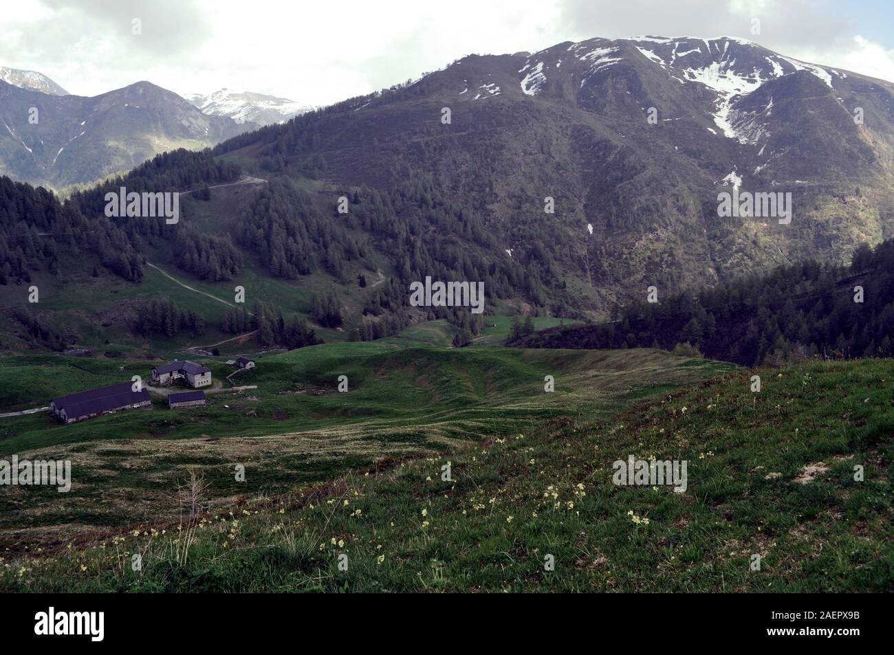 High pasture land hi-res stock photography and images - Alamy