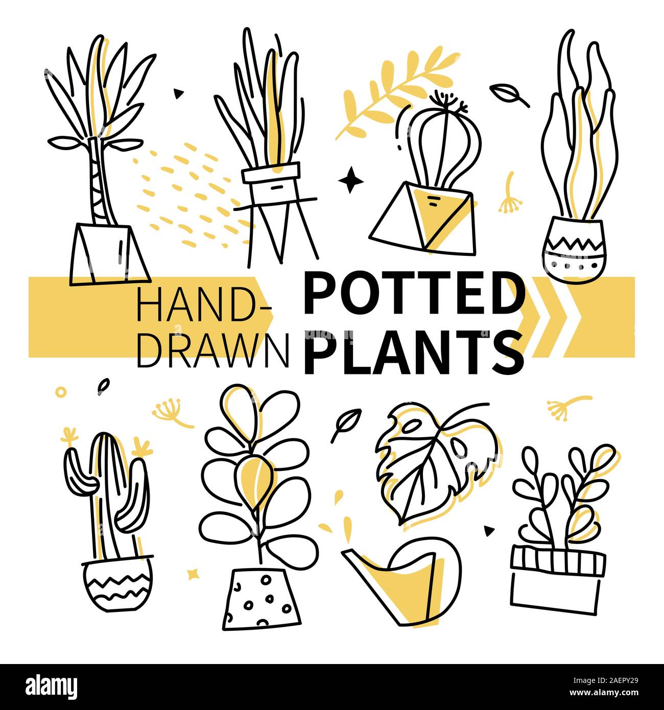 Hand Drawn Potted Plants Collection Set Of Vector Elements Stock