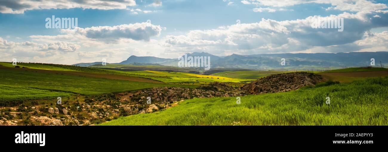 Panorama sunny green slopes of Ifrane at Moyen Atlas mountains, Morocco ...