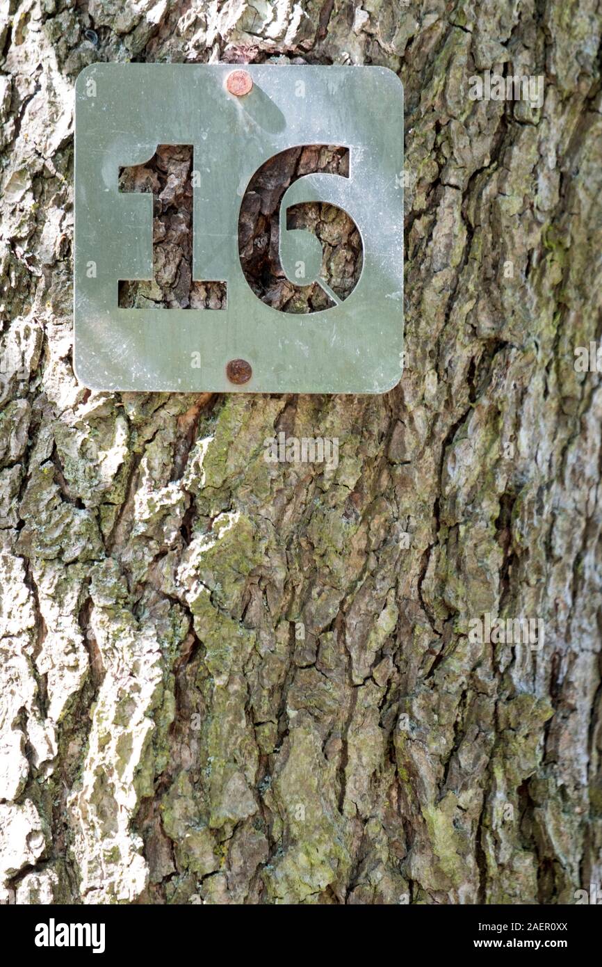 Gobions hi-res stock photography and images - Alamy