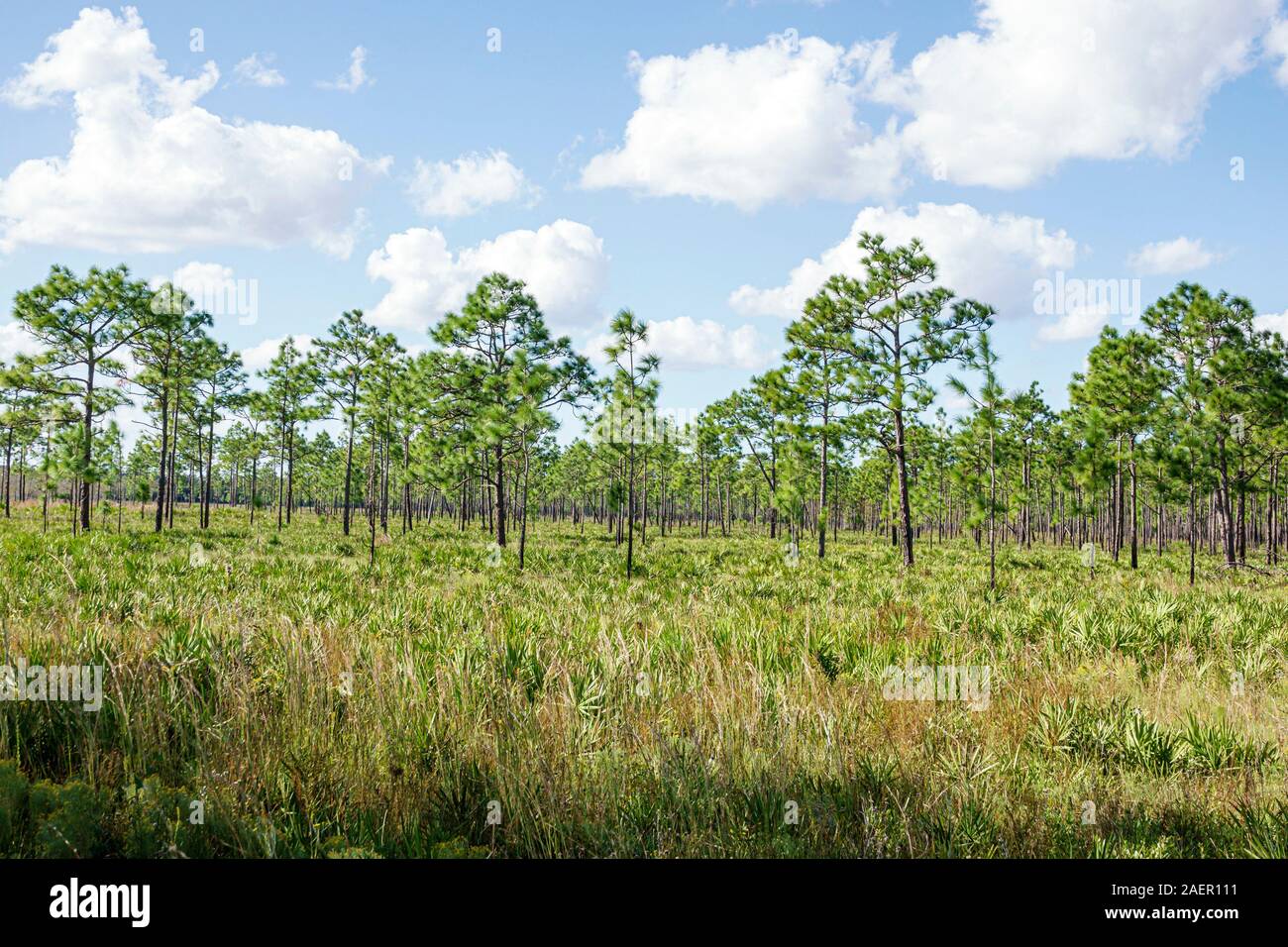 Three lakes wildlife management area hi-res stock photography and ...