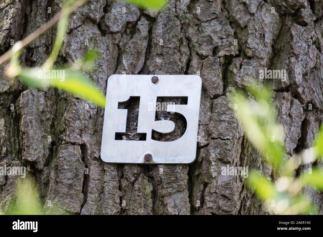 Number tree hi-res stock photography and images - Alamy