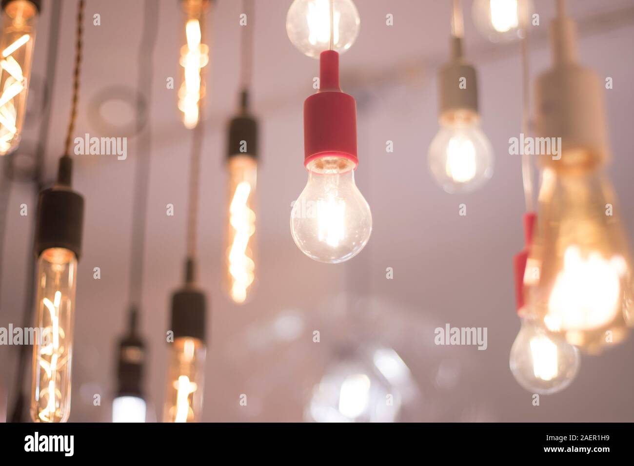 LED modern lights and bulbs on display in store lighting department ...