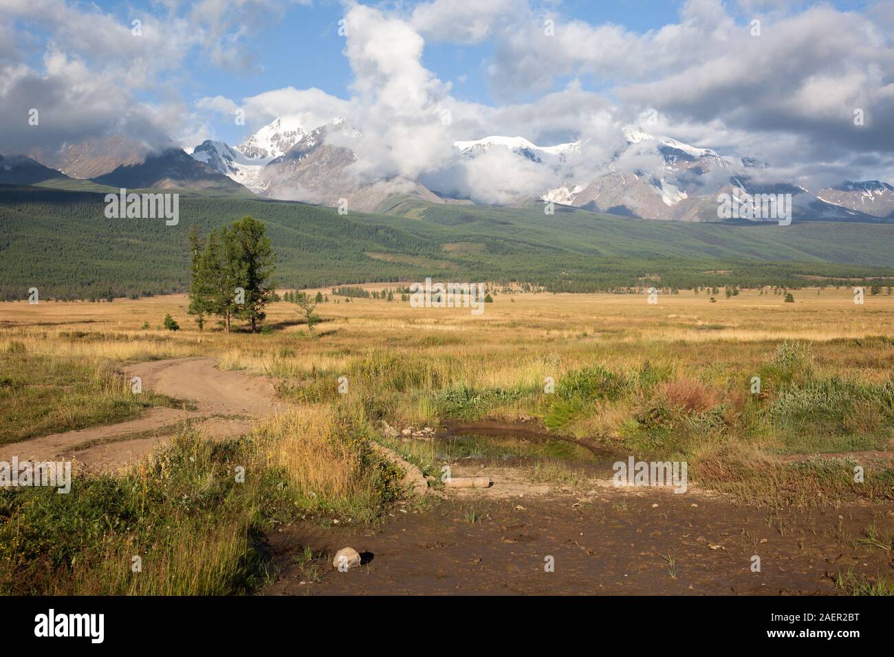 Forest steppe hi-res stock photography and images - Alamy