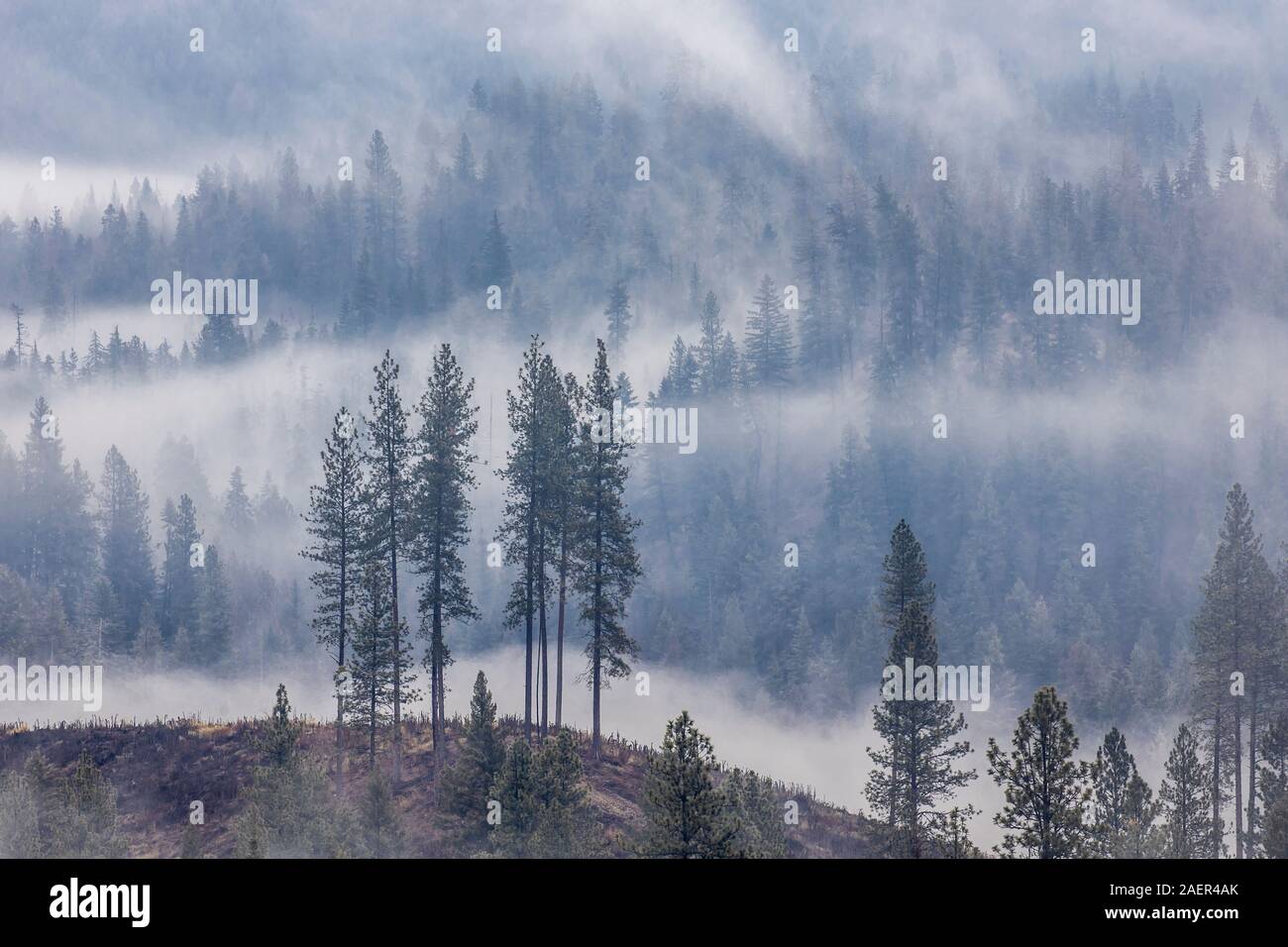 Hayden lake idaho hi-res stock photography and images - Alamy