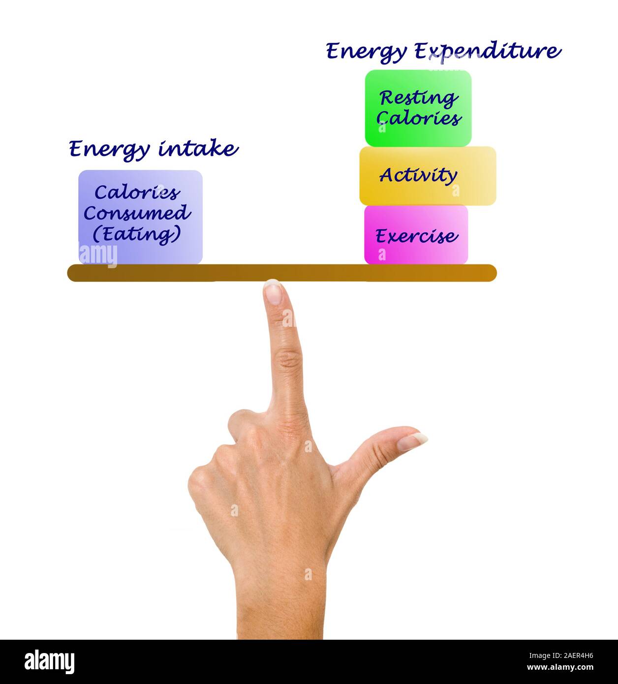 Balance between Energy intake and Energy expenditure Stock Photo - Alamy