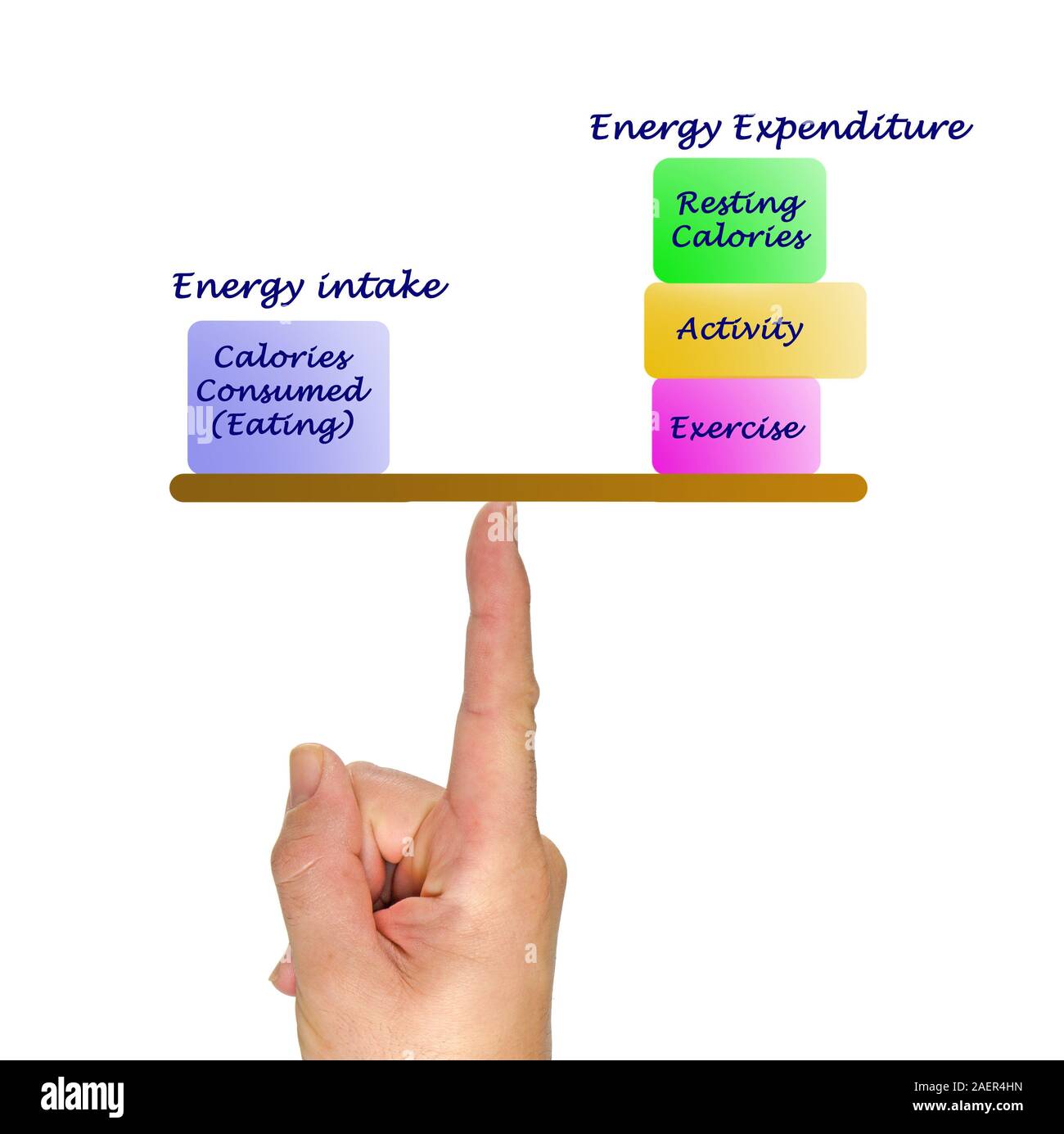 Balance between Energy intake and Energy expenditure Stock Photo - Alamy Balance between Energy intake and Energy expenditure Stock Photo - Alamy
