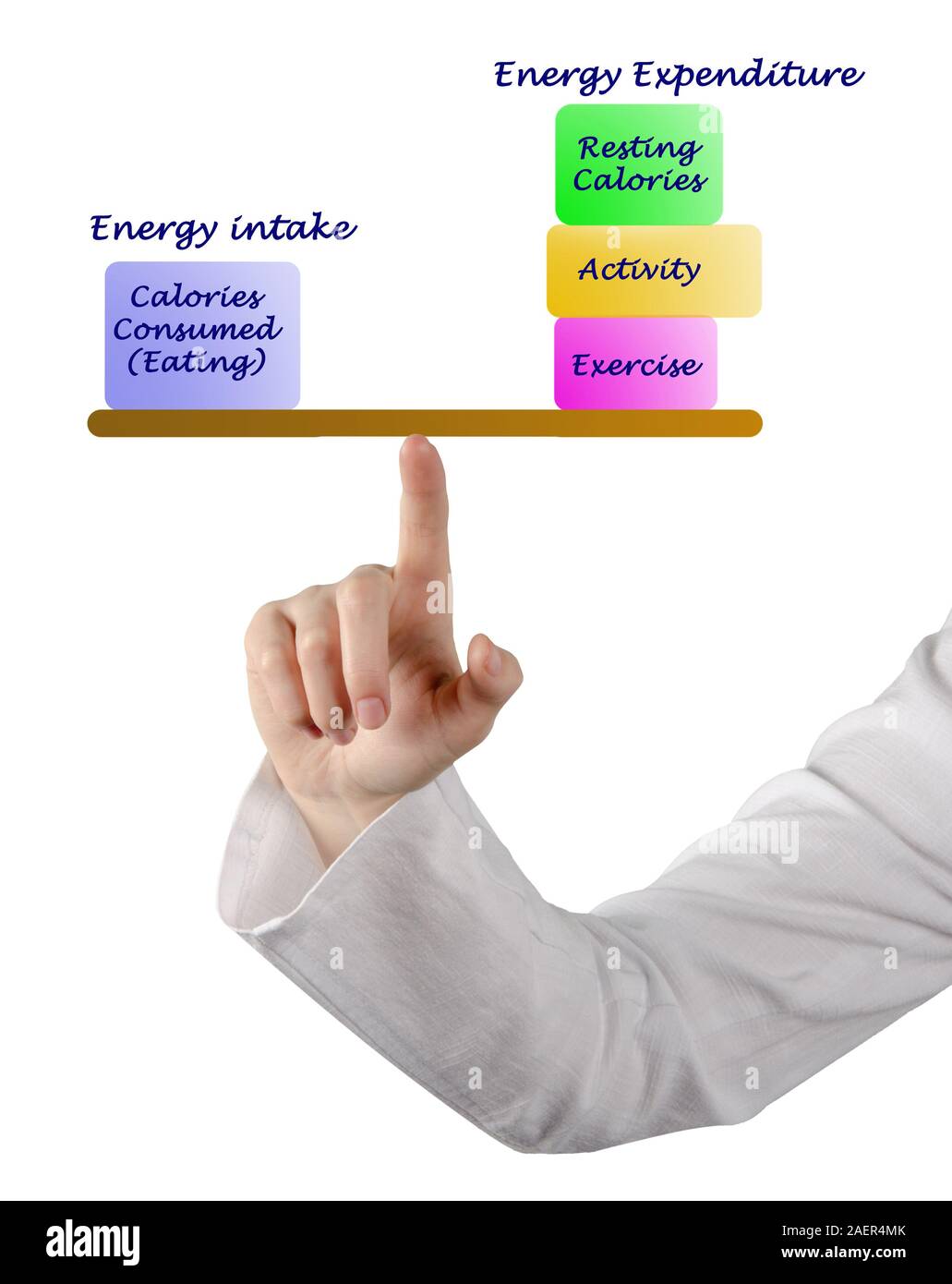 Balance between Energy intake and Energy expenditure Stock Photo - Alamy