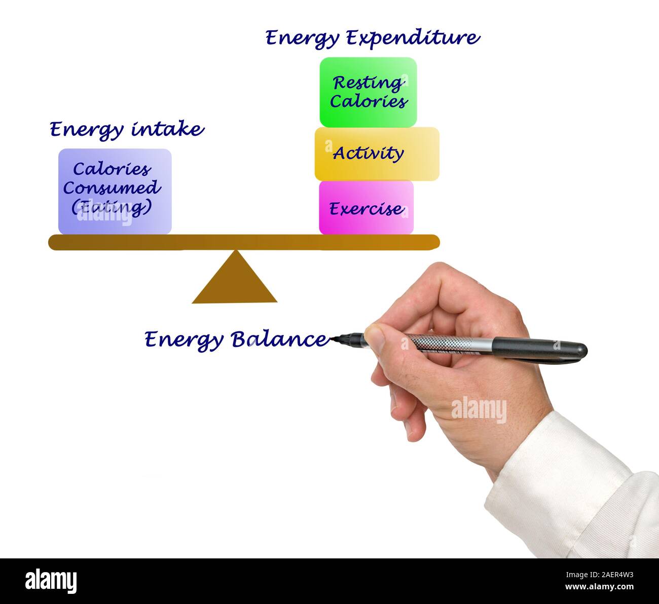 Balance between Energy intake and Energy expenditure Stock Photo - Alamy