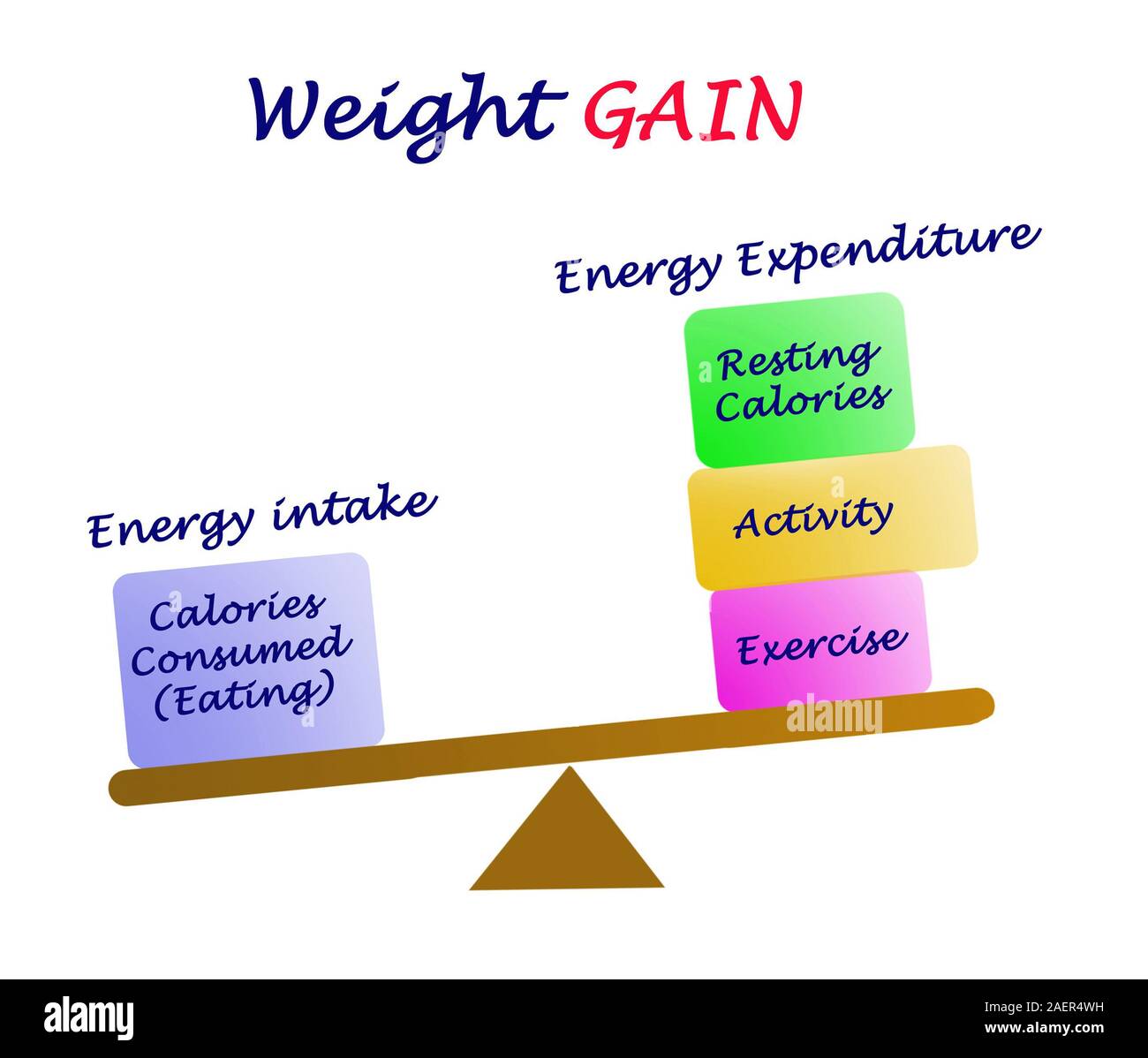 Balance between Energy intake and Energy expenditure Stock Photo - Alamy Balance between Energy intake and Energy expenditure Stock Photo - Alamy