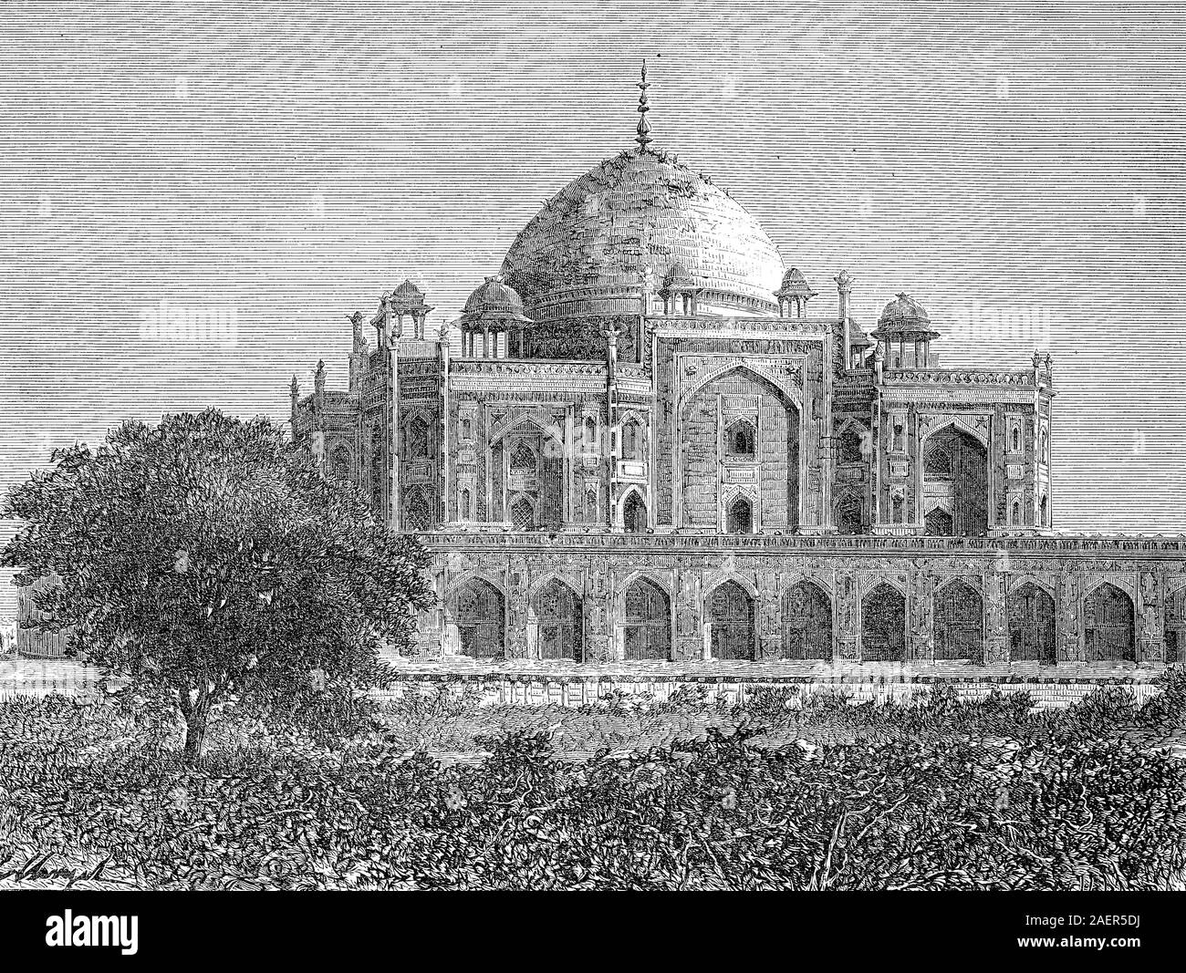 Humayun The Mughal Emperor Sketch