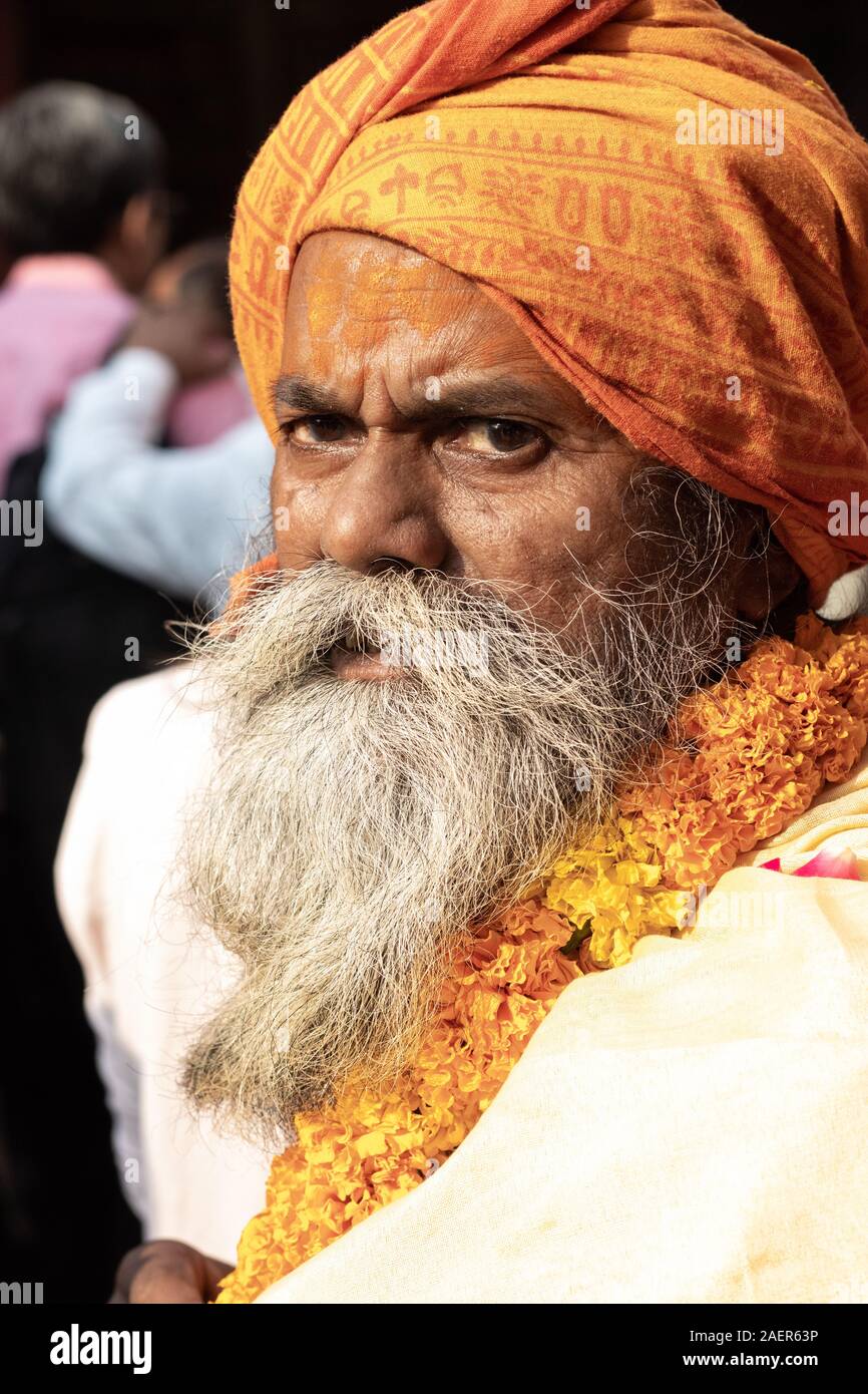 Indian sage hi-res stock photography and images - Alamy