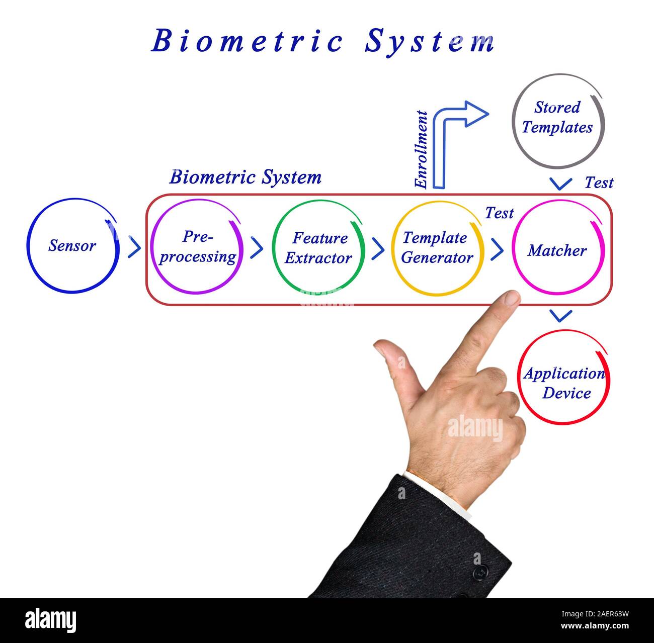 Diagram biometric system hi-res stock photography and images - Alamy