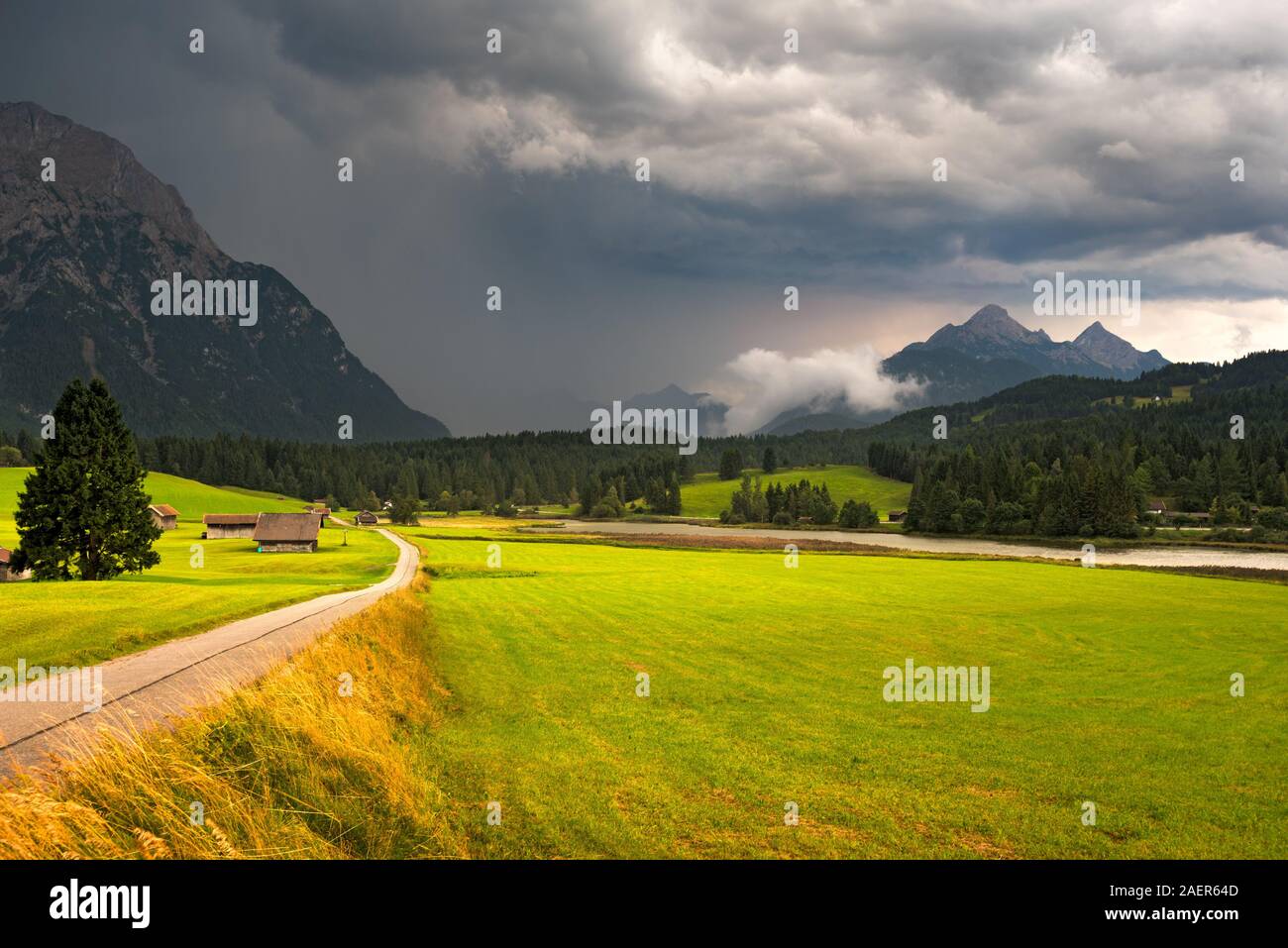 Alps grass field hi-res stock photography and images - Alamy