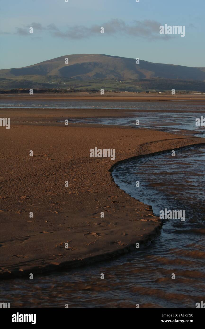 UK Sandscale Haws, National Nature Reserve, Roanhead, Cumbria UK Stock ...