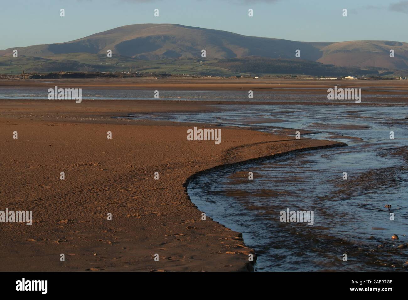 UK Sandscale Haws, National Nature Reserve, Roanhead, Cumbria UK Stock ...