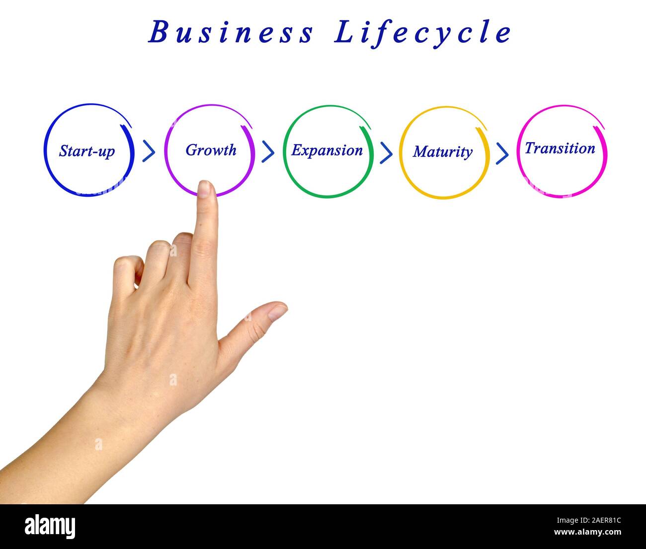 Business life cycle Stock Photo - Alamy