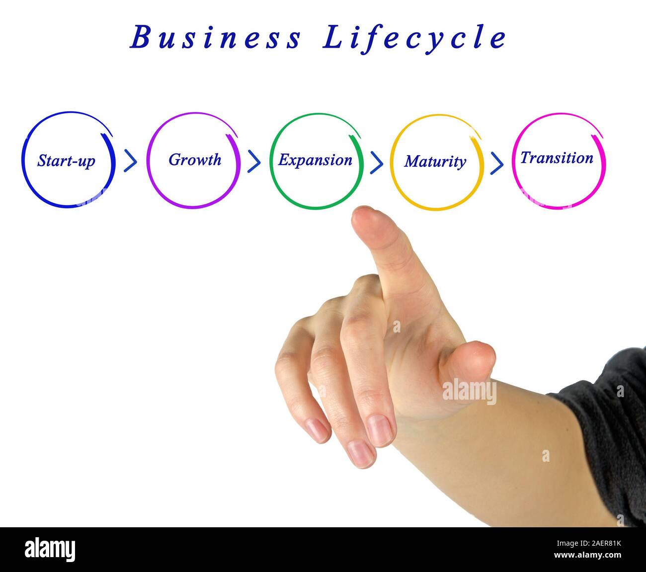Business life cycle Stock Photo - Alamy