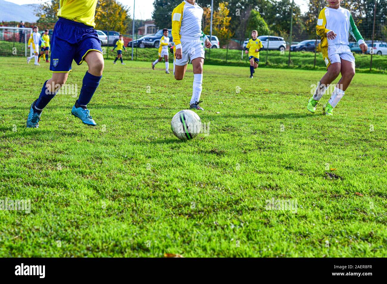 three young football players. Children play a soccer game. Legs in ...